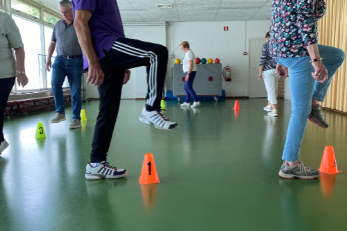 Informatie professionals - Leef Asten!